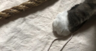 Seizing - Herreshoff Marine Museum